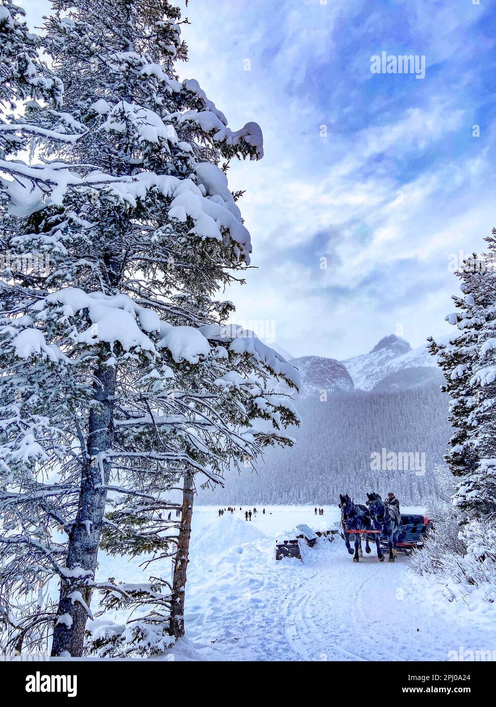 Horse-drawn carriage at the frozen mountain lake Lake Louise near ...