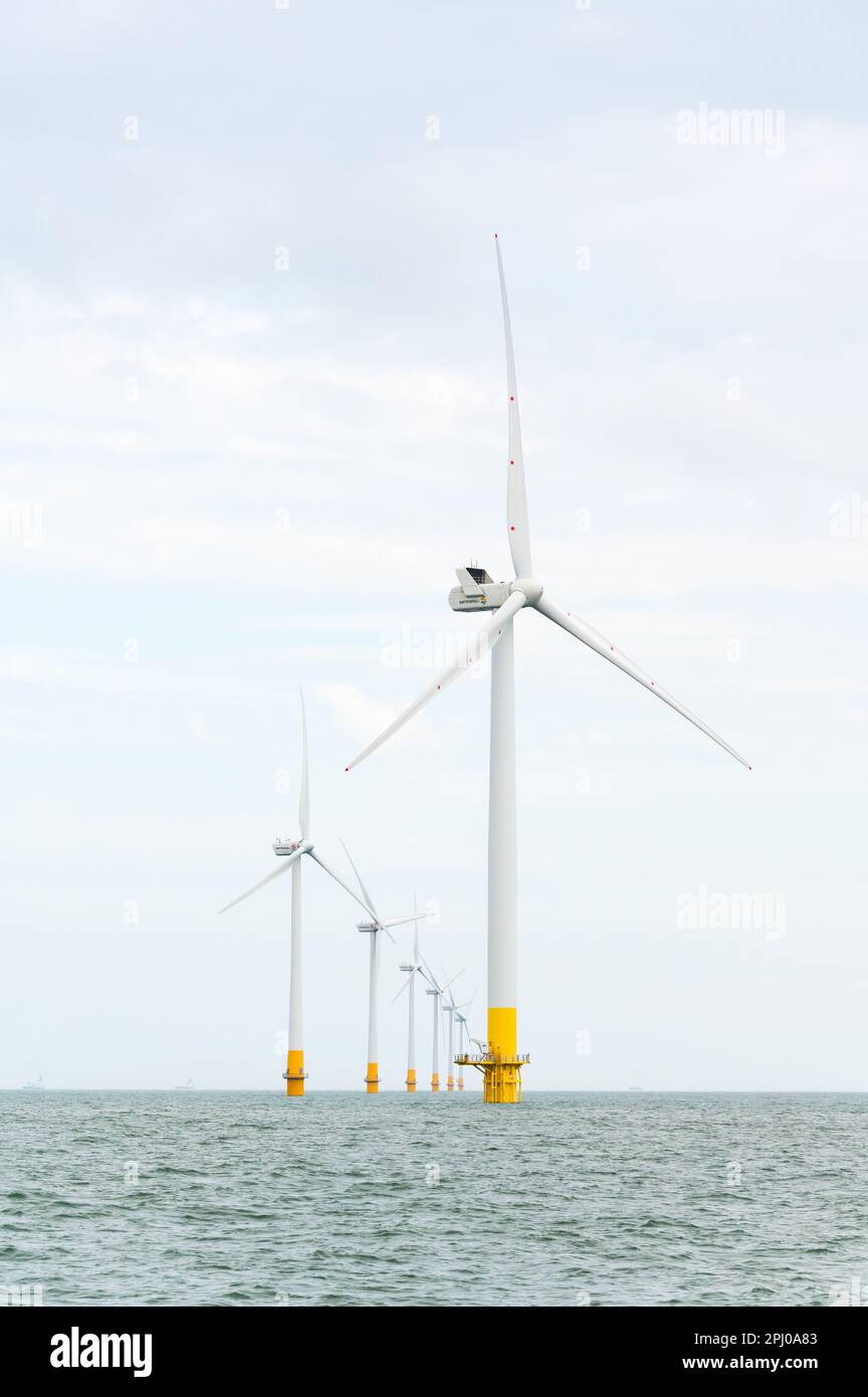 The Kentish Flats offshore wind farm, near Whitstable, Kent, England ...