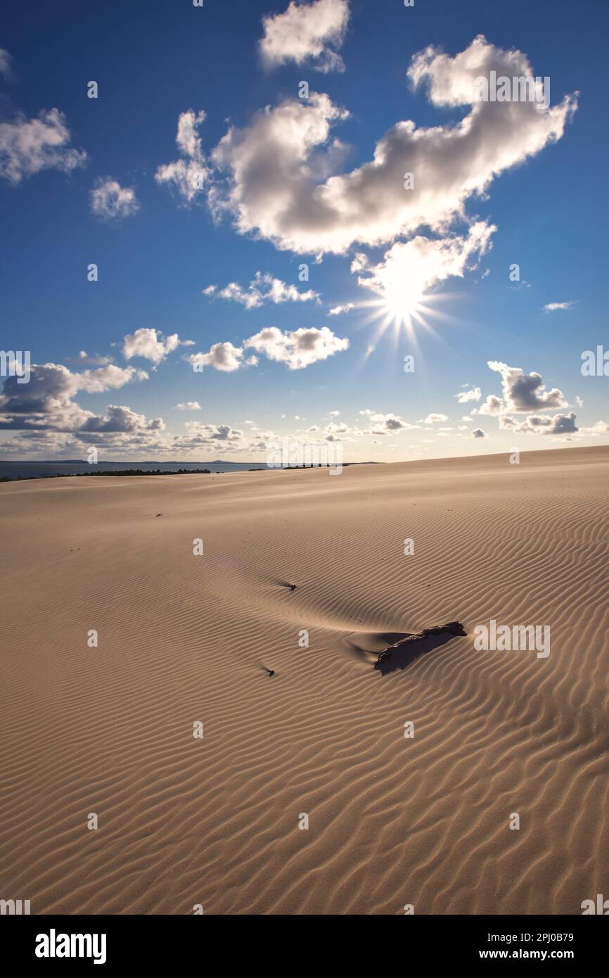 Beautiful holiday seaside landscape. Moving dunes in the desert in ...