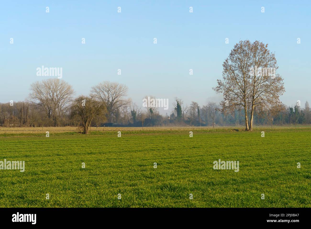 Rural landscape in February near Muggiano, Milan, Lombardy, italy Stock ...