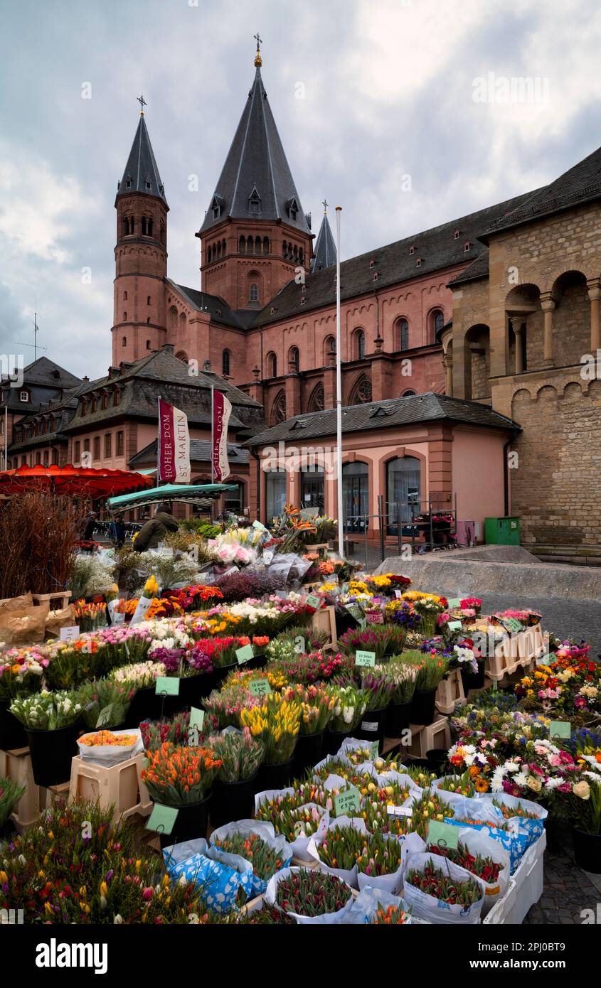 The High Cathedral of Mainz, flower stall, market stall, weekly market ...