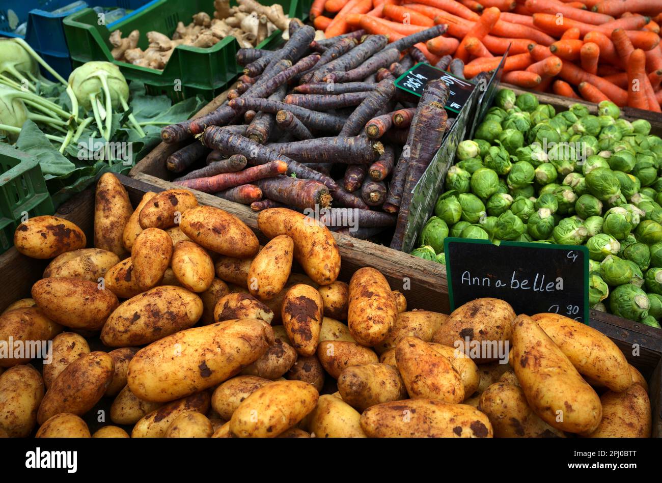 Ginger sprouts hi-res stock photography and images - Alamy