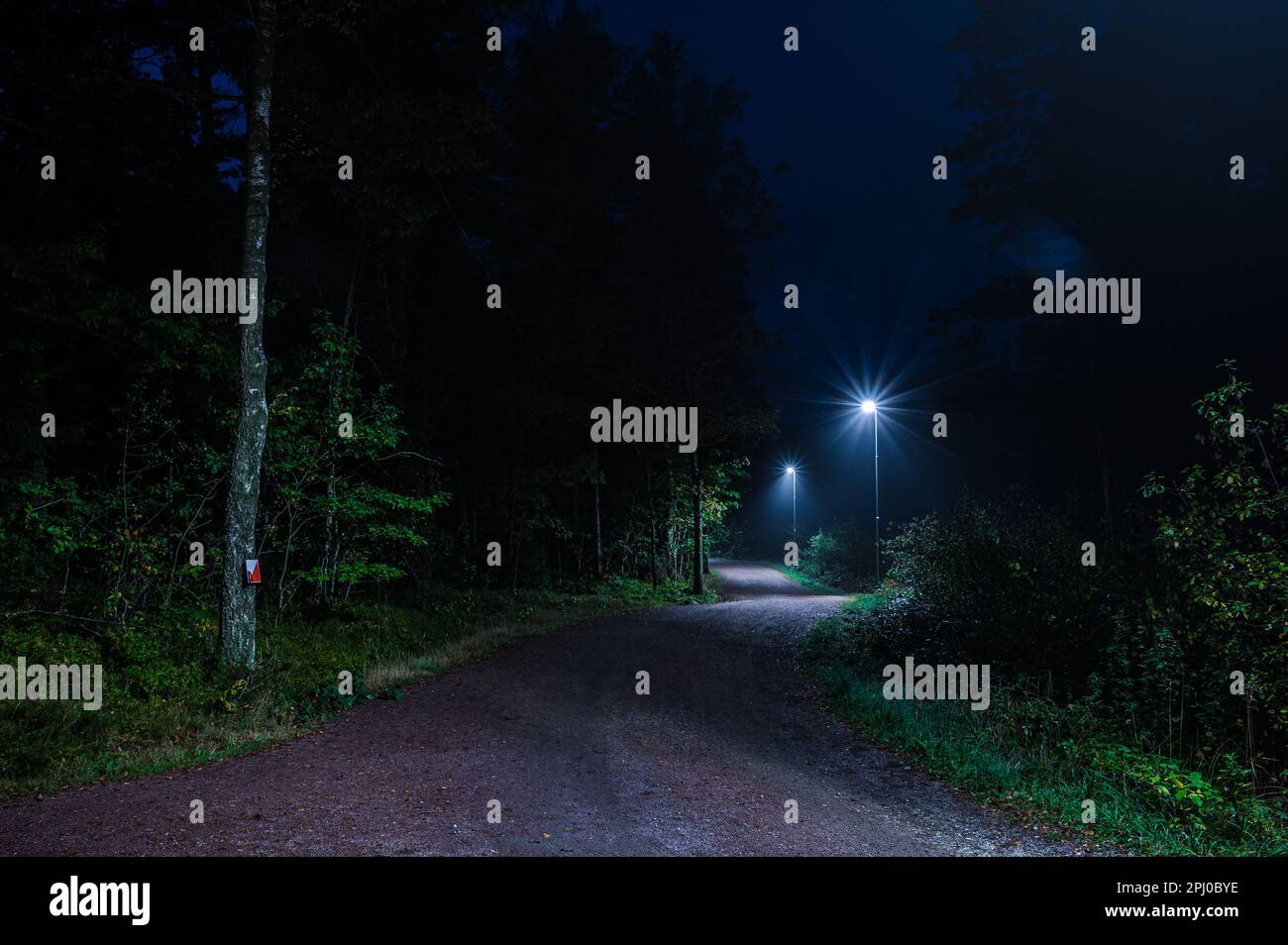 A winding gravel road illuminated by lamps in the dark Swedish night ...