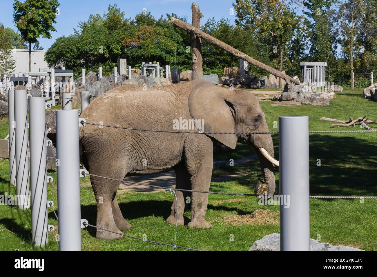 Zoo quebec province hi-res stock photography and images - Alamy