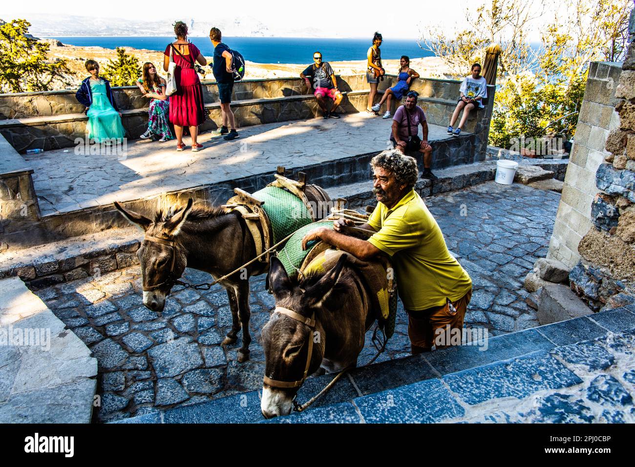 Tourist transport with donkeys to the Acropolis of Lindos, Rhodes ...