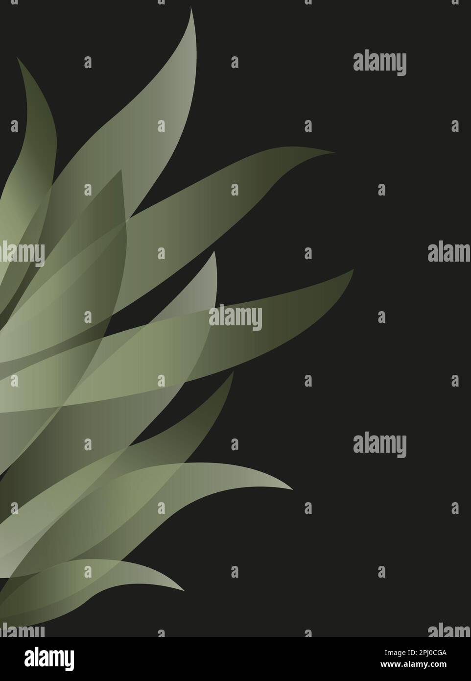 Herbal minimalist and modern vector banner. Hand painted plants ...