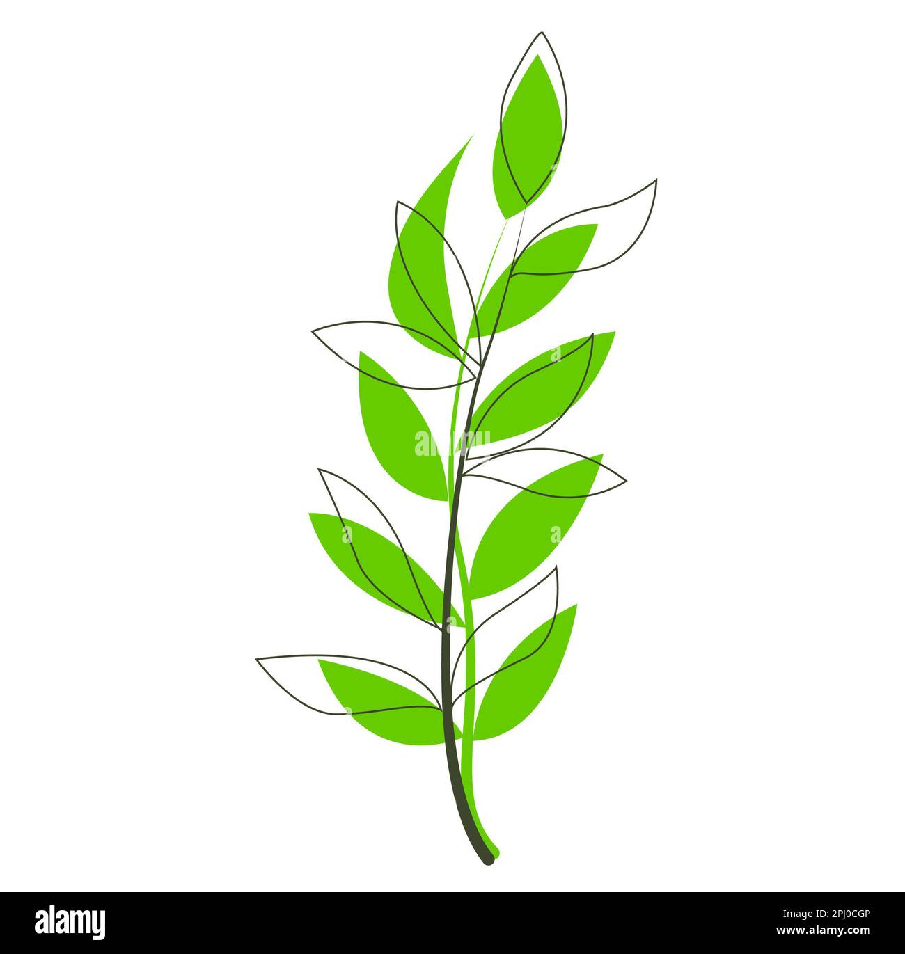 Herbal minimalist and modern vector banner. Hand painted plants ...