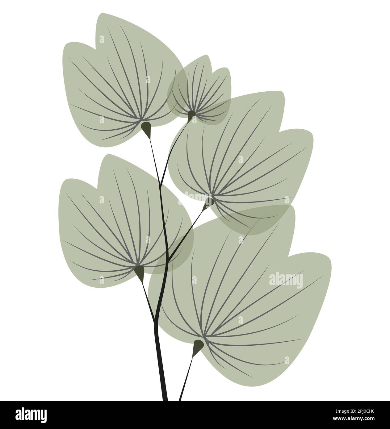 Herbal minimalist and modern vector banner. Hand painted plants ...