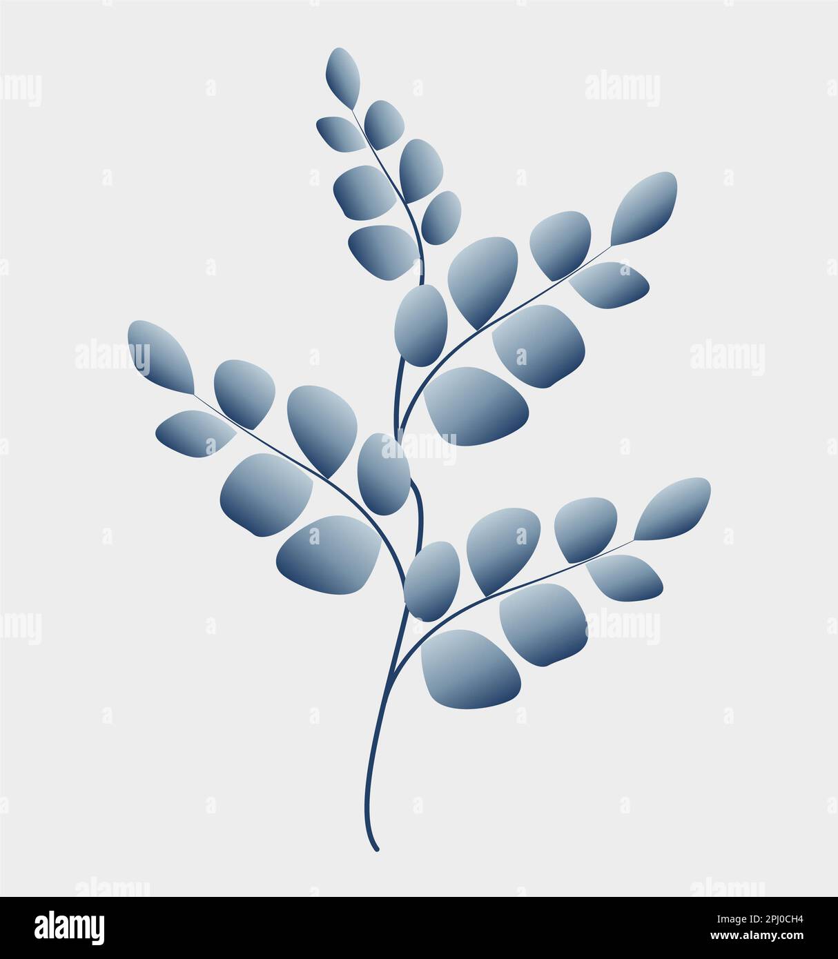 Herbal minimalist and modern vector banner. Hand painted plants ...