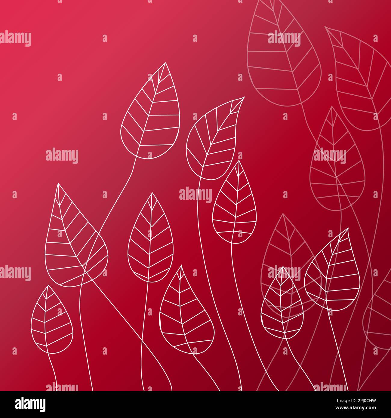 Herbal minimalist and modern vector banner. Hand painted plants ...