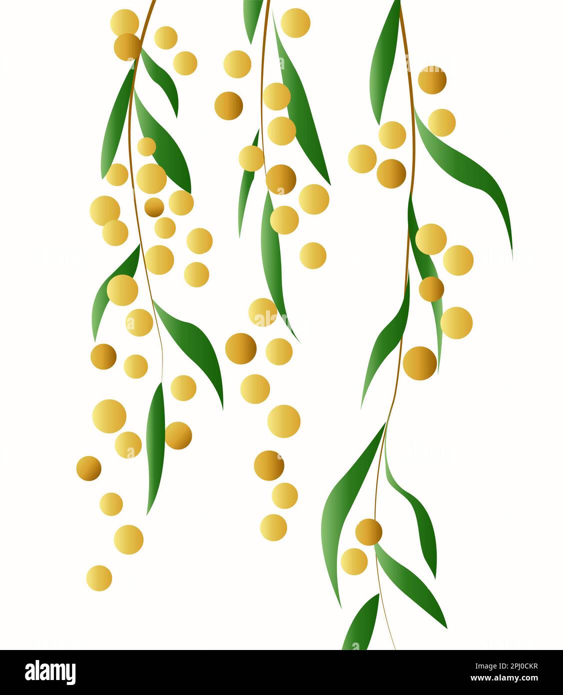Herbal minimalist and modern vector banner. Hand painted plants ...