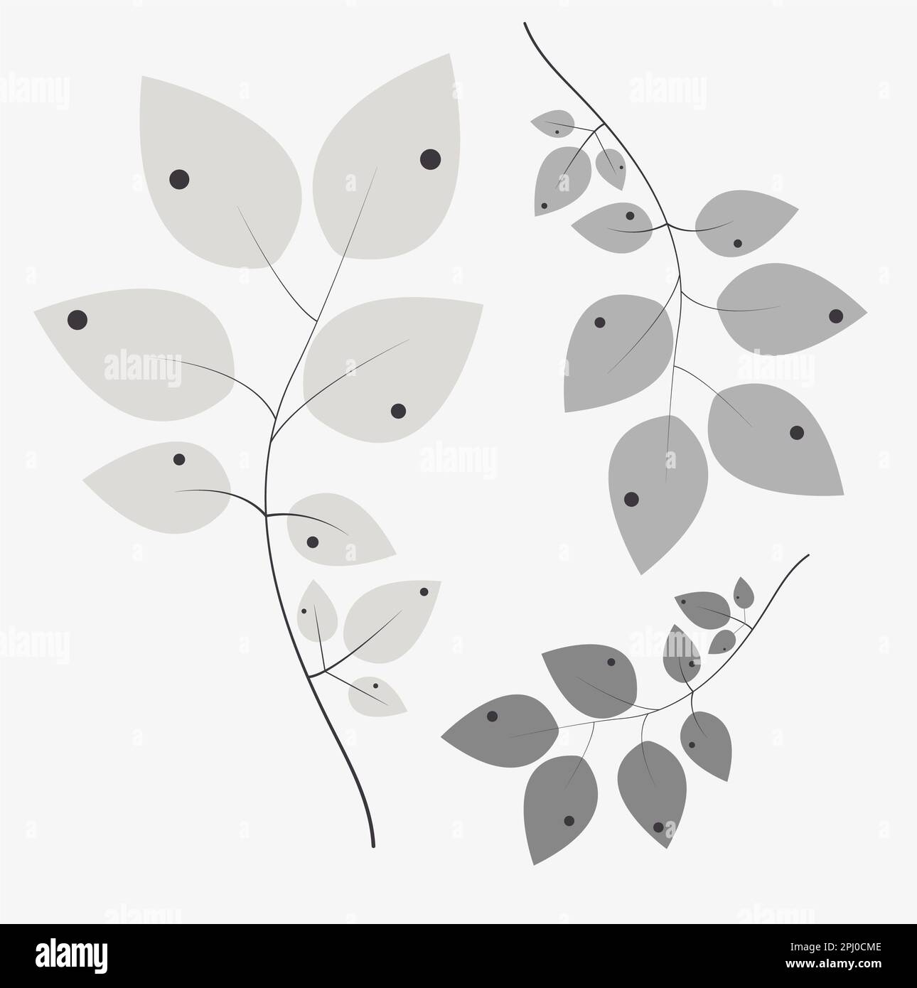 Herbal minimalist and modern vector banner. Hand painted plants ...