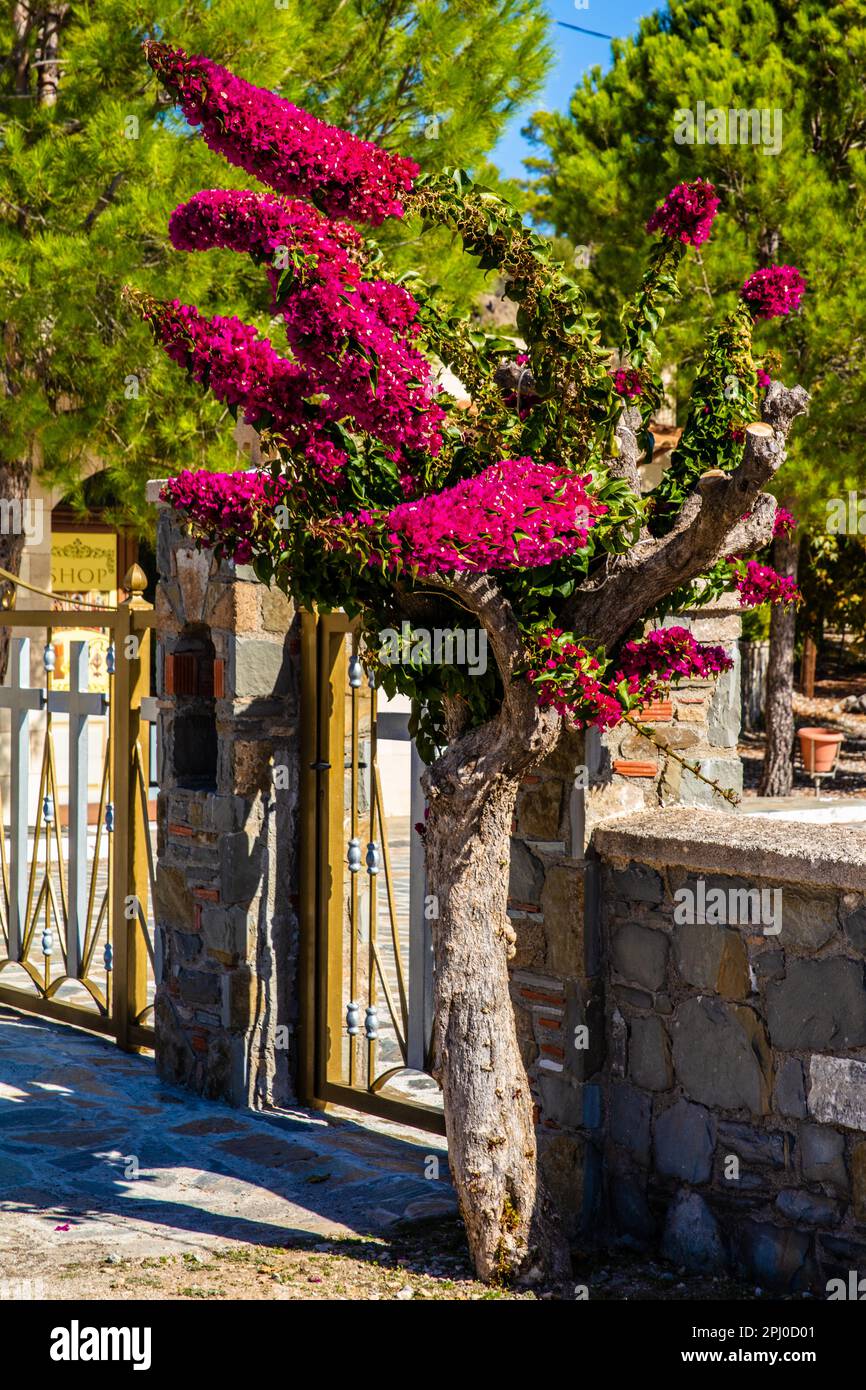 Entrance to the Moni Thari Monastery near Laerma from the 12th century ...