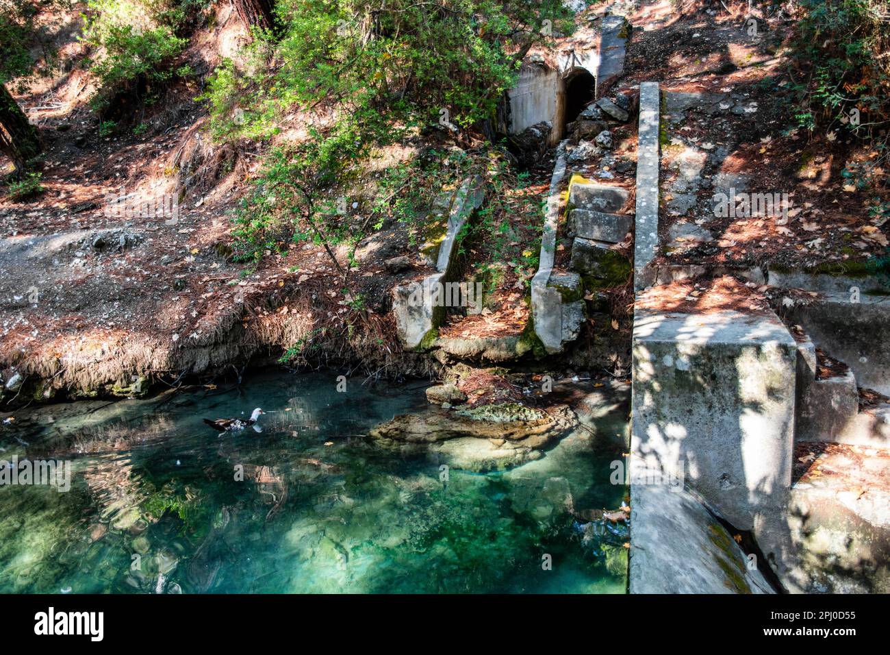 Seven springs epta piges hi-res stock photography and images - Alamy