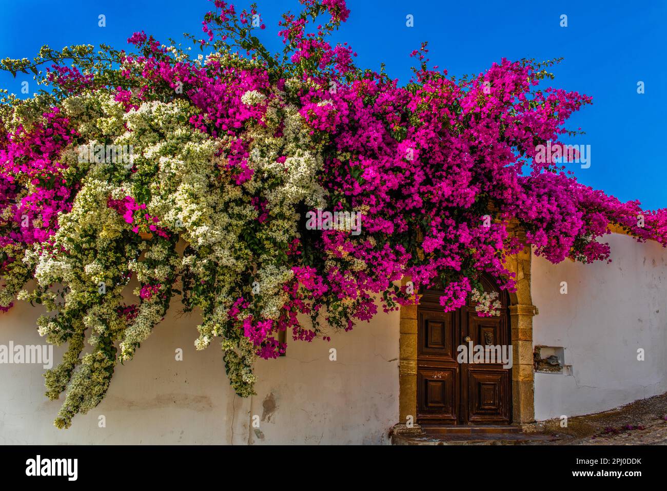 Lachania village, a jewel of the island with small streets, whitewashed ...