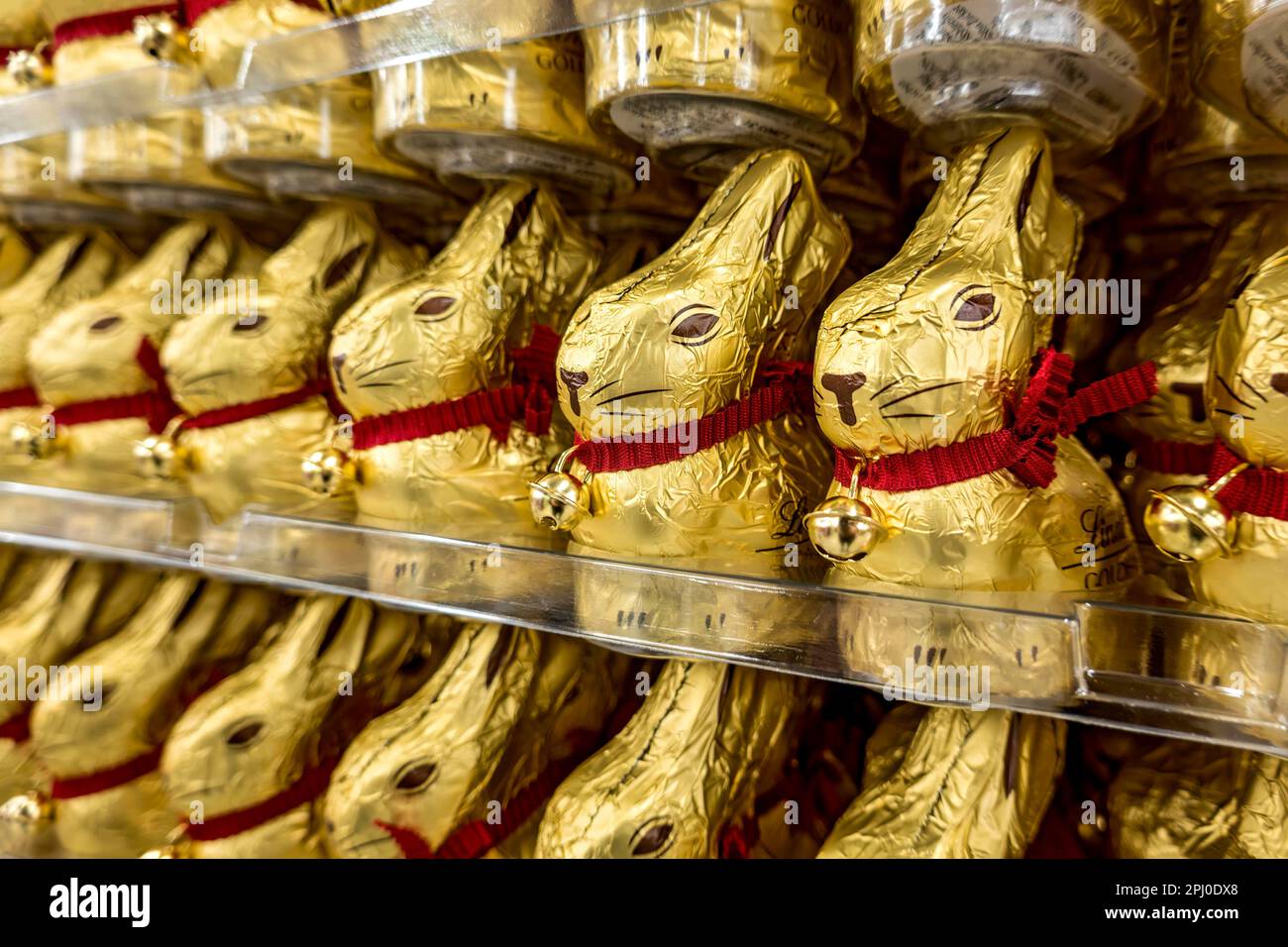 Many chocolate Easter bunnies, chocolate bunnies, Lindt gold bunnies ...
