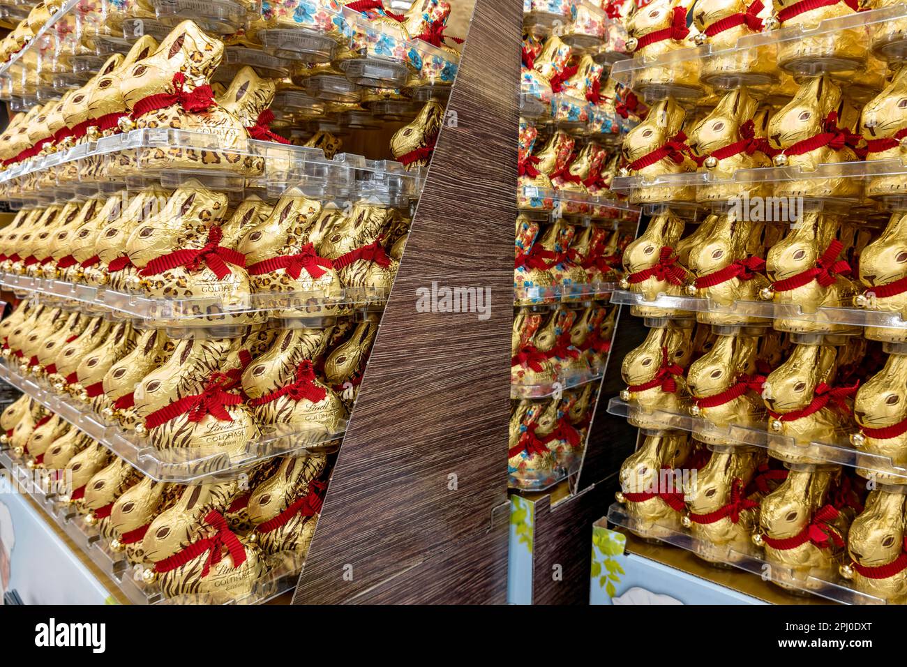 Many chocolate Easter bunnies, chocolate bunnies, Lindt gold bunnies ...