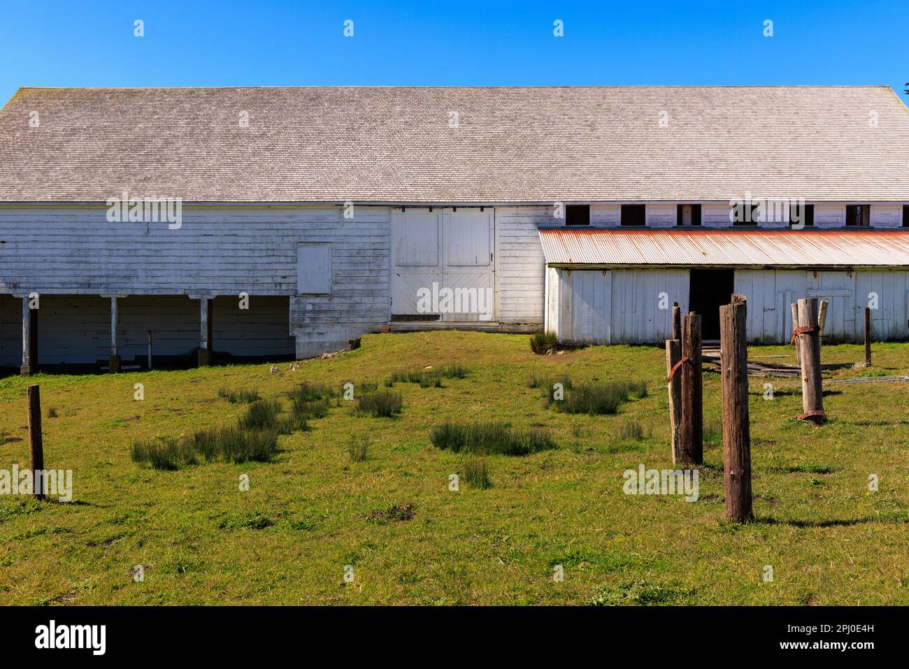 Historic rustic barn with modern roof at Pierce Point Ranch on sunny ...