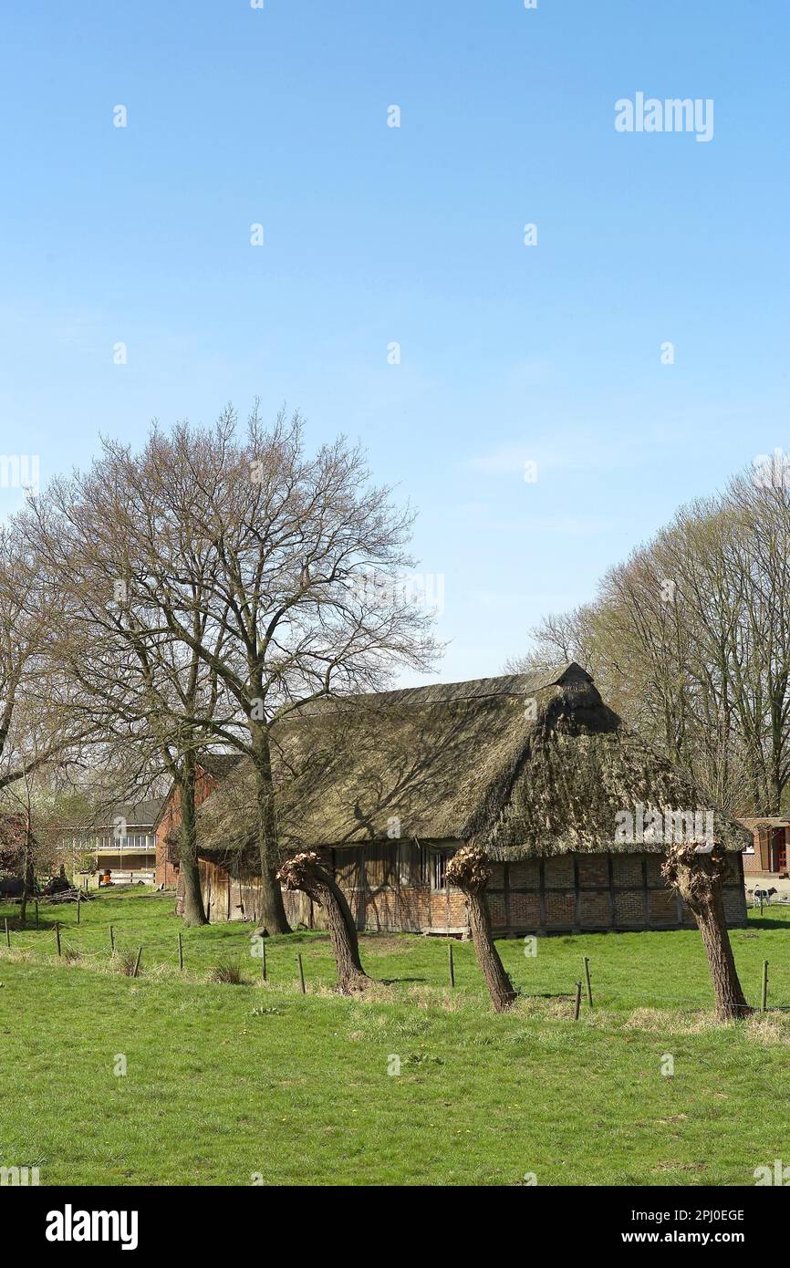 Lower Saxony Wesermarsch Morriem Barn Stock Photo - Alamy