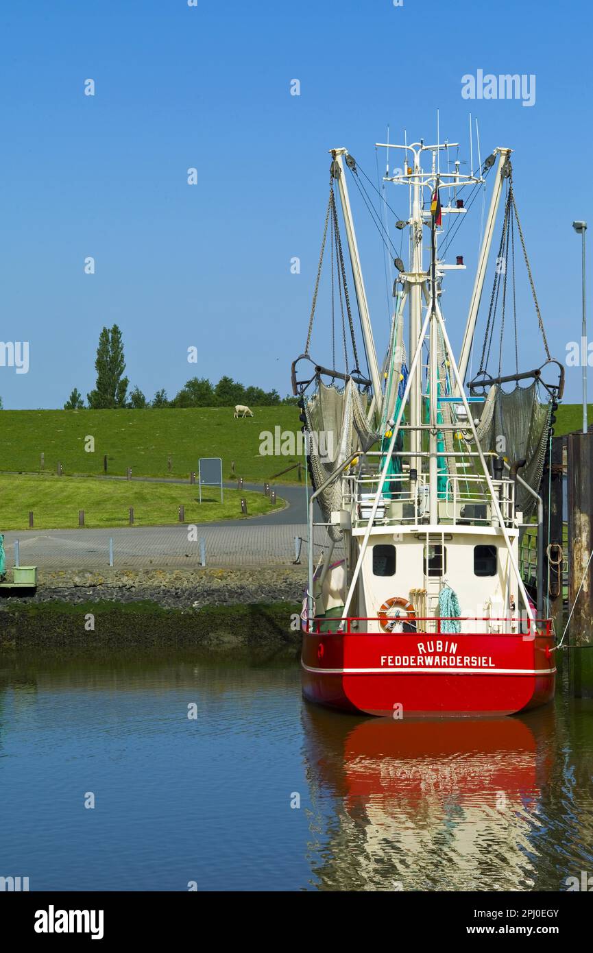 Crab cutter in the harbour of Fedderwardersiel, Wesermarsch district ...