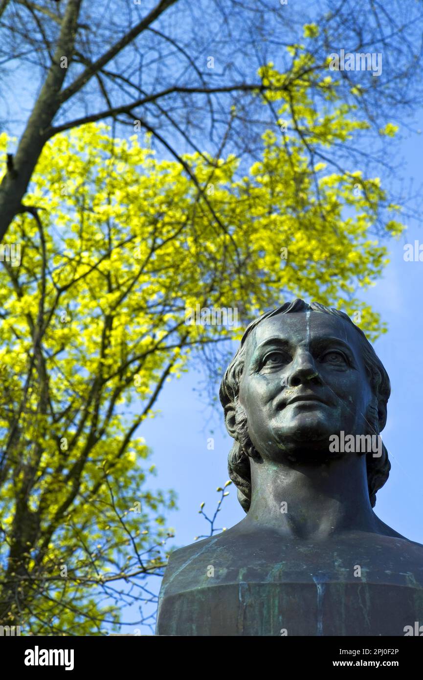 Bust of Isaak Altmann, creator of the ramparts, Bremen, Germany Stock ...