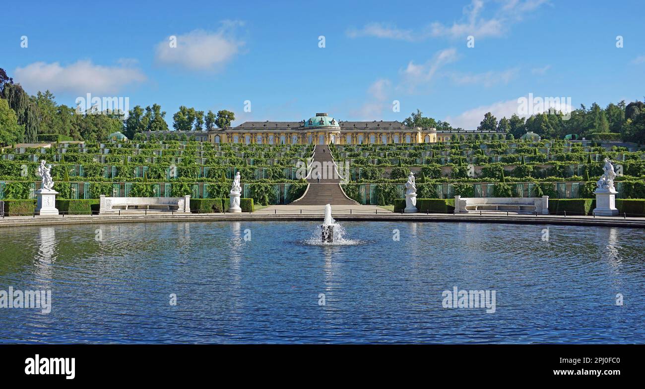 Water basin of the Great Fountain, figure rondel, vineyard terraces ...