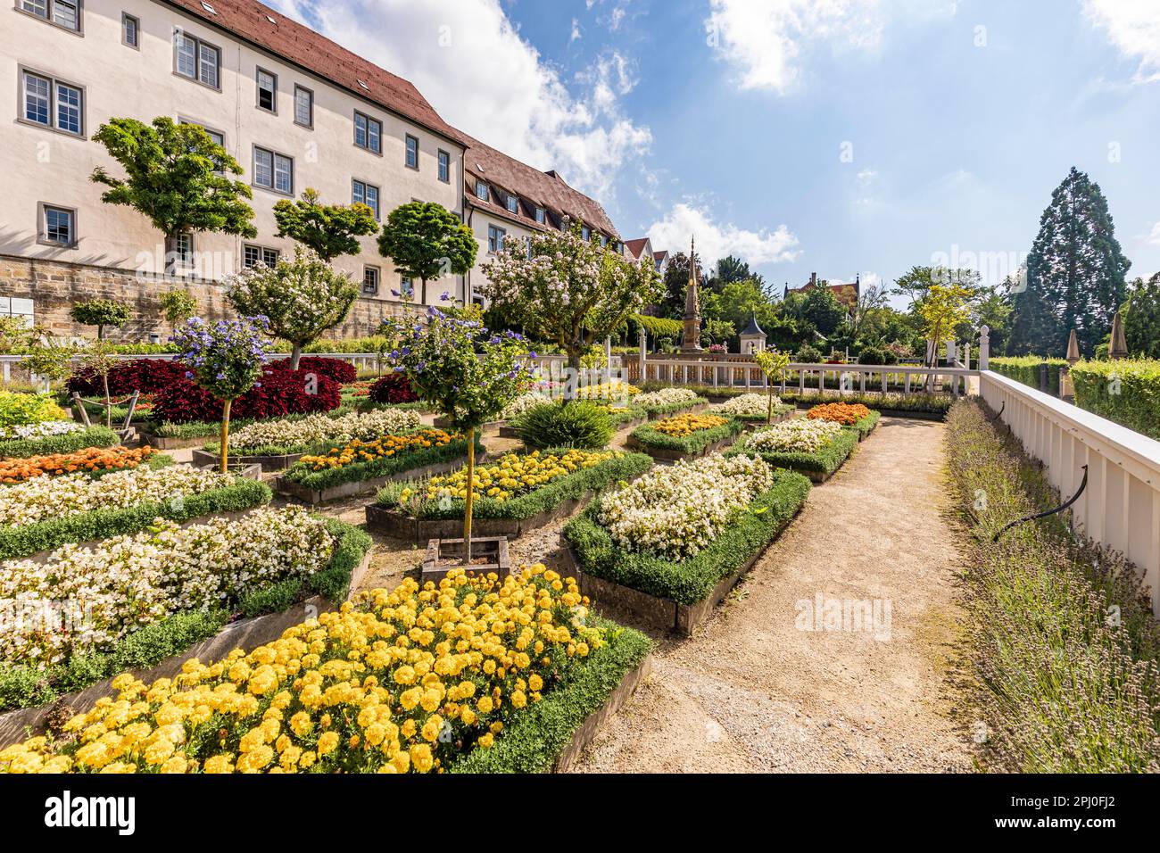 Garden pomeranian hi-res stock photography and images - Alamy