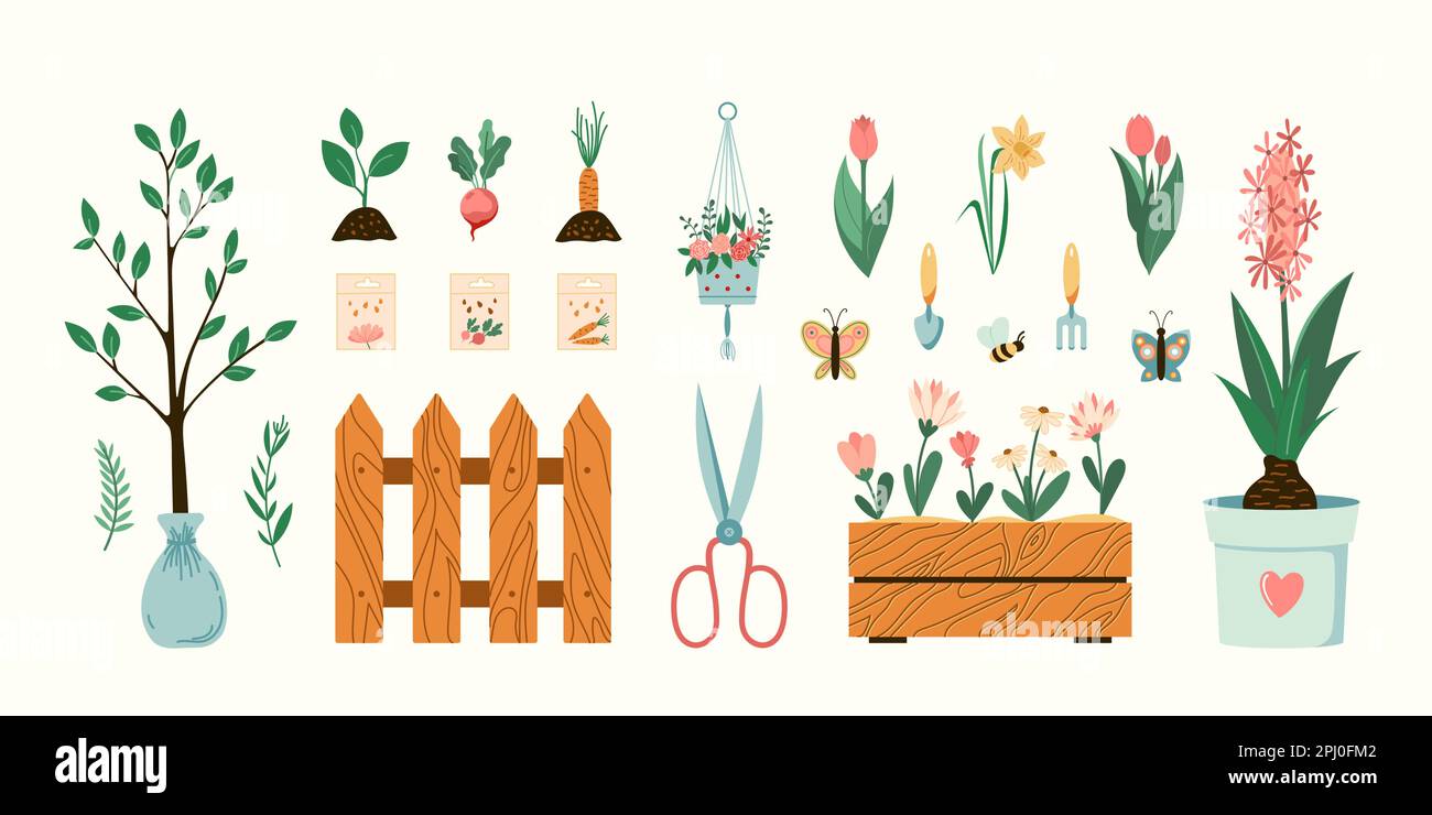 Home vegetables gardening hobby illustrations set. Vector plants ...