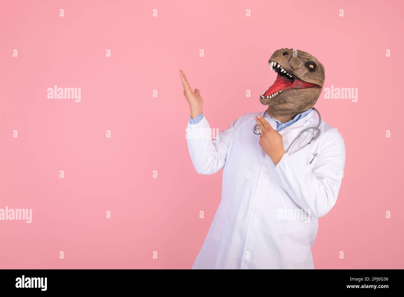 funny T Rex head doctor concept on pink isolated background Stock Photo ...