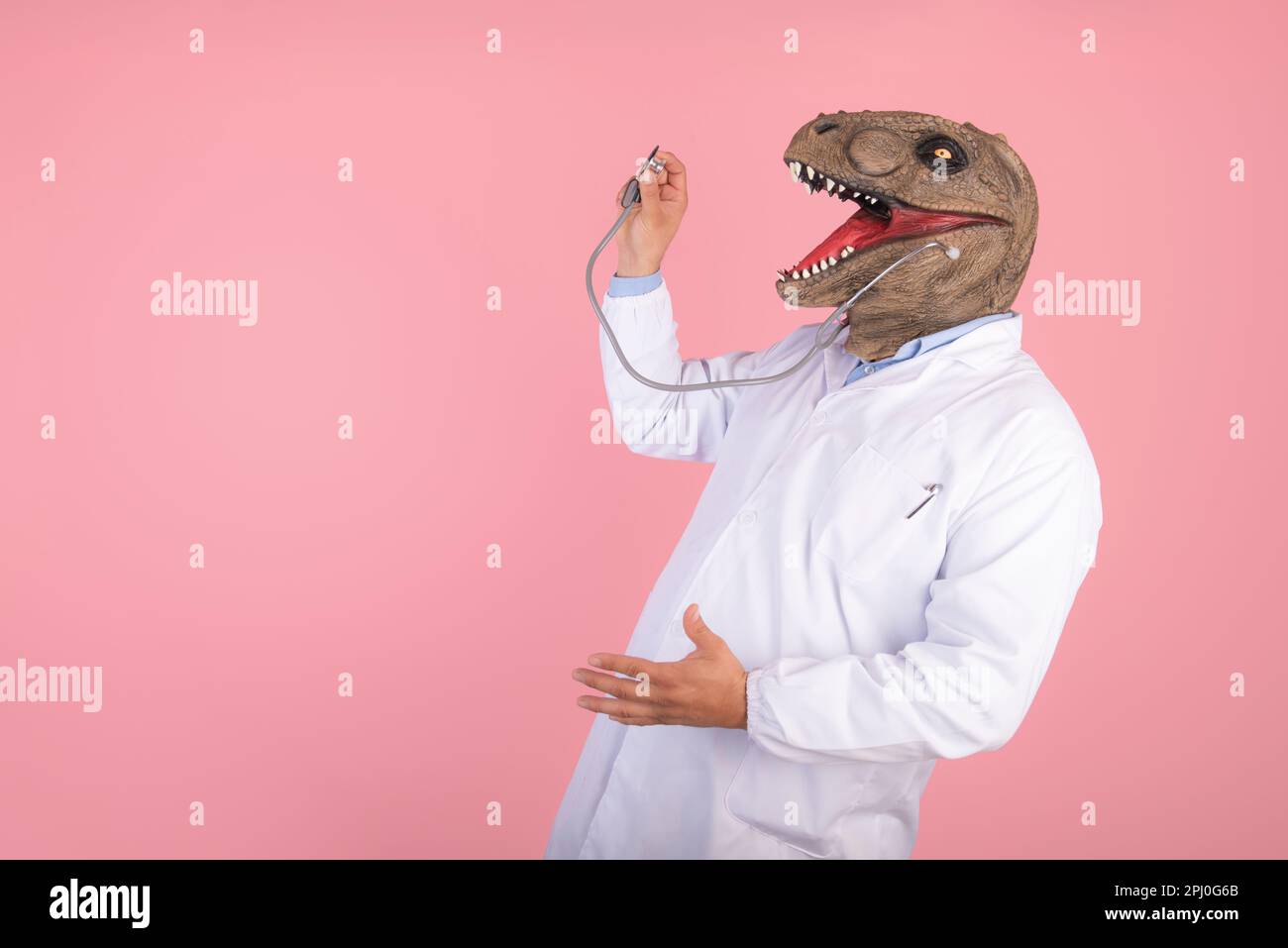 Doctor with T Rex head holding a stethoscope on isolated coral pink ...