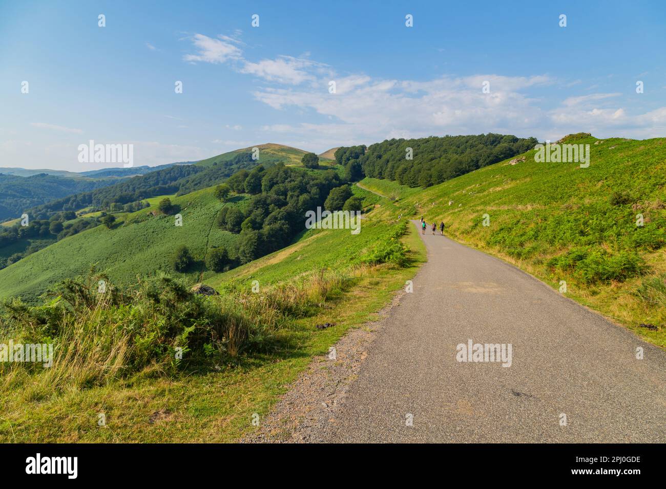 Navarre, Spain, 26 August, 2022: Pilgrims walk along the Camino De ...