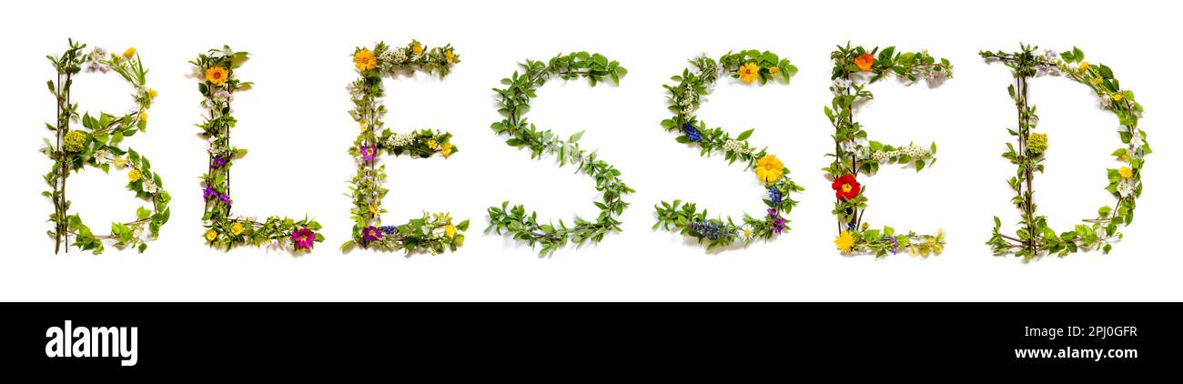 Colorful Blooming Flower Letters Building Word Blessed Stock Photo - Alamy