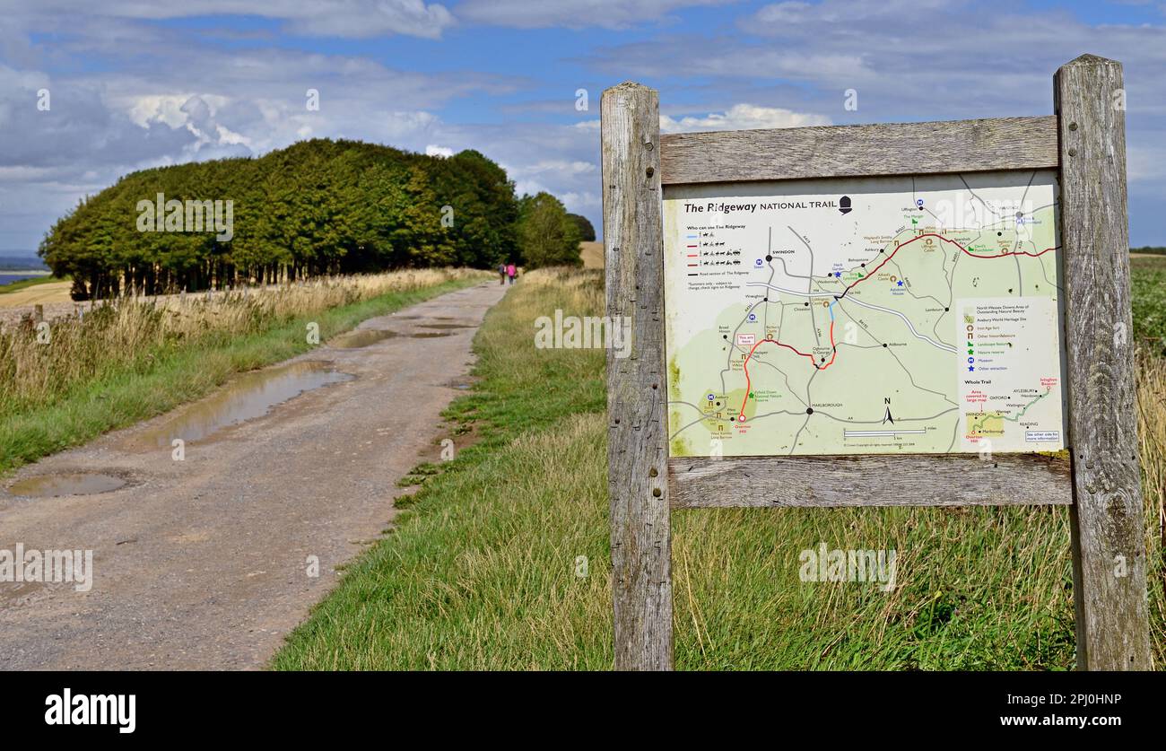 Puddles along the Ridgeway National Trail on Hackpen Hill, Wiltshire ...