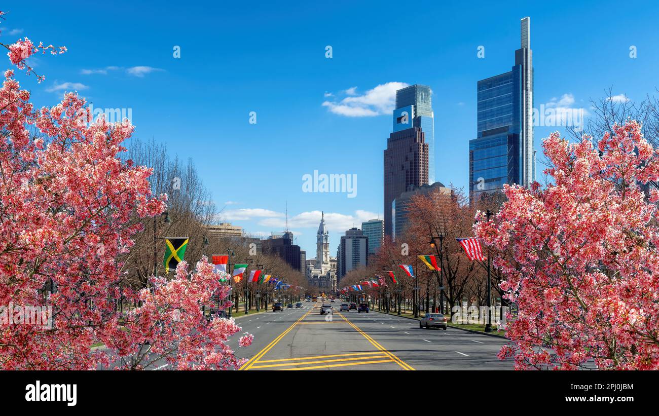 Philadelphia city skyline with spring flowers in spring sunny day Stock ...