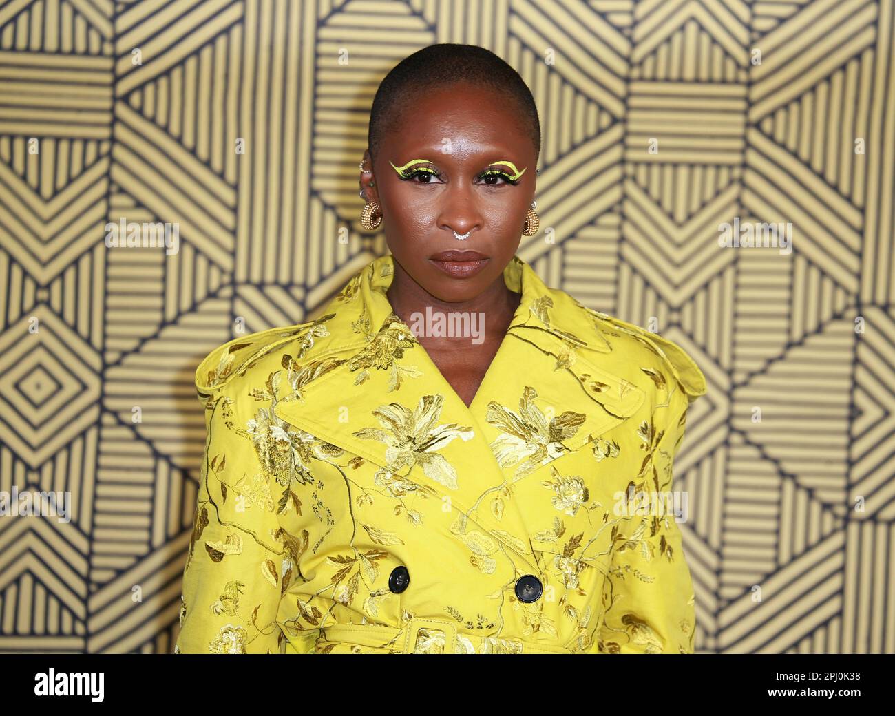 Black panther wakanda hi-res stock photography and images - Alamy