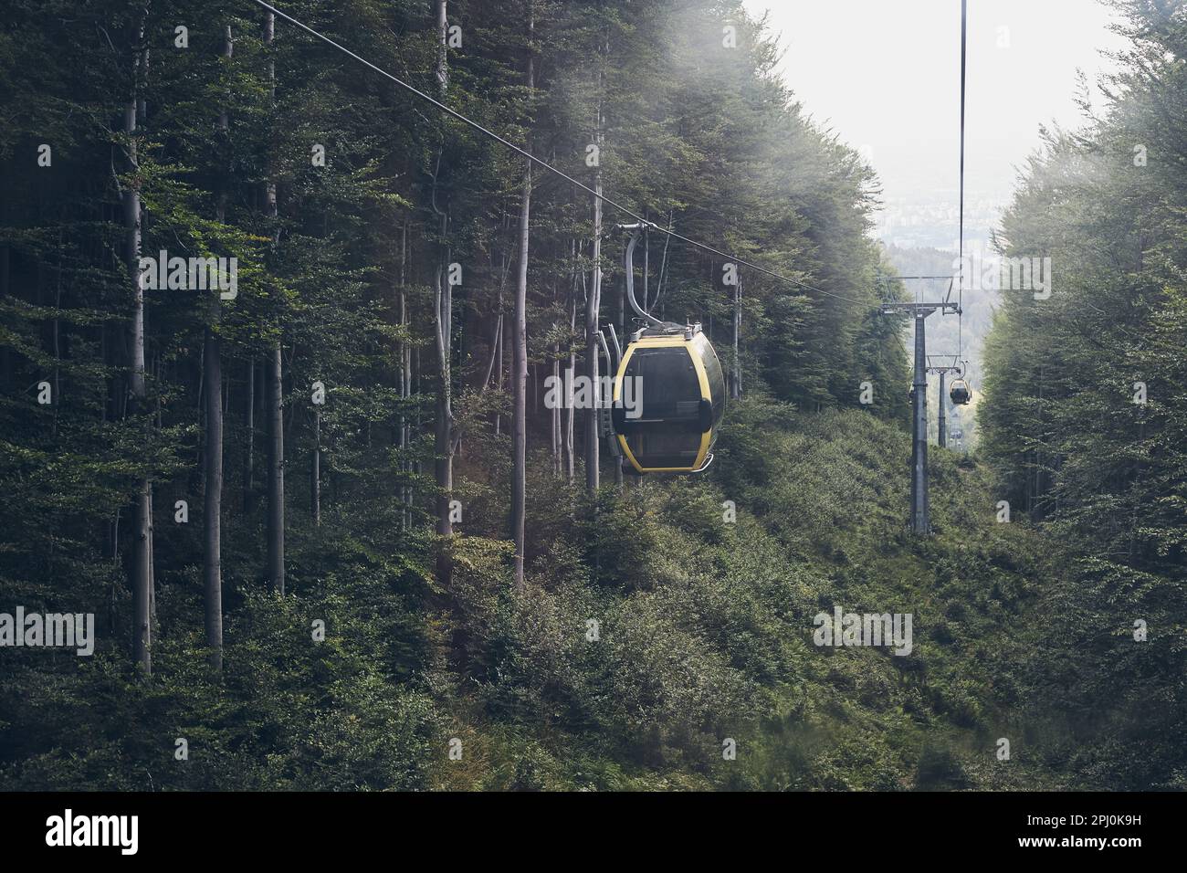 Cable car go to top of mountain among trees in forest on summer sunny ...