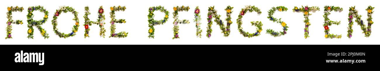 Colorful Blooming Flower Letters Building Frohe Pfingsten Means Happy ...