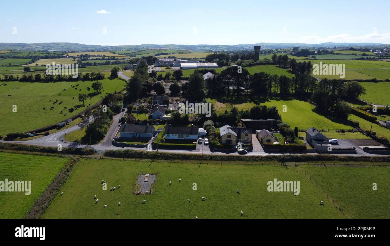 A small Irish village among fields and grazing cattle, top view. Irish ...