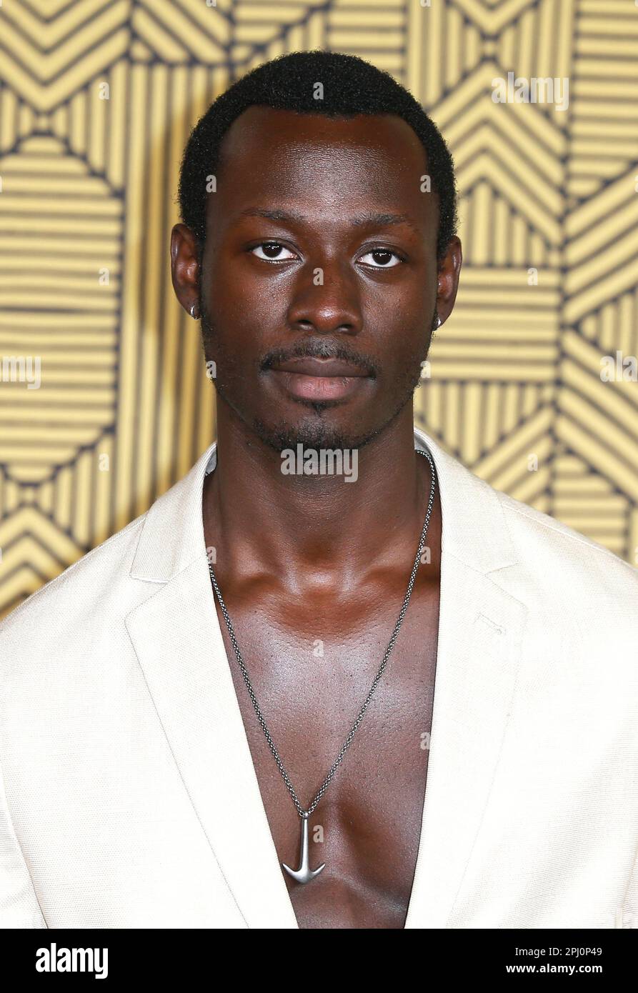 David Larbi attends the "Black Panther: Wakanda Forever" European ...
