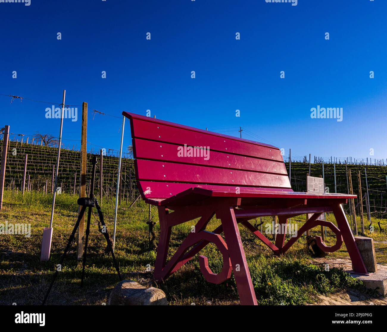 A quick visit to the giant bench of Castellinaldo with an eye on the ...