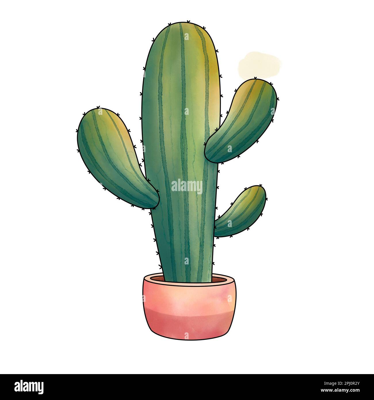 watercolor cactus in a pot clipart. hand drawn illustration for your ...