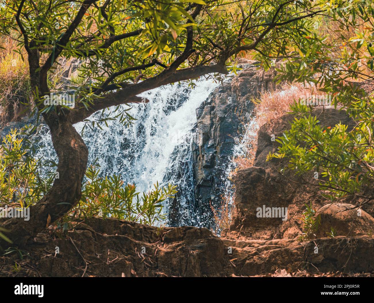 Faek hi-res stock photography and images - Alamy