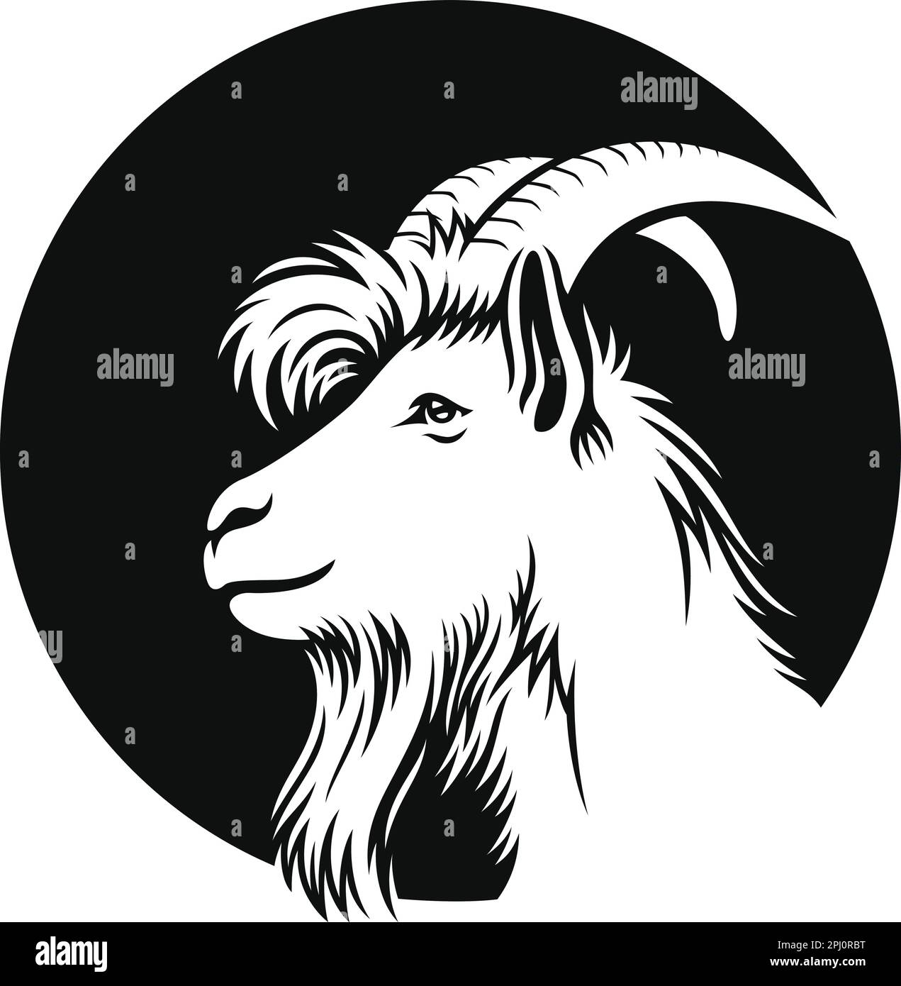 Side View of White Goat Head Stock Vector Image & Art - Alamy