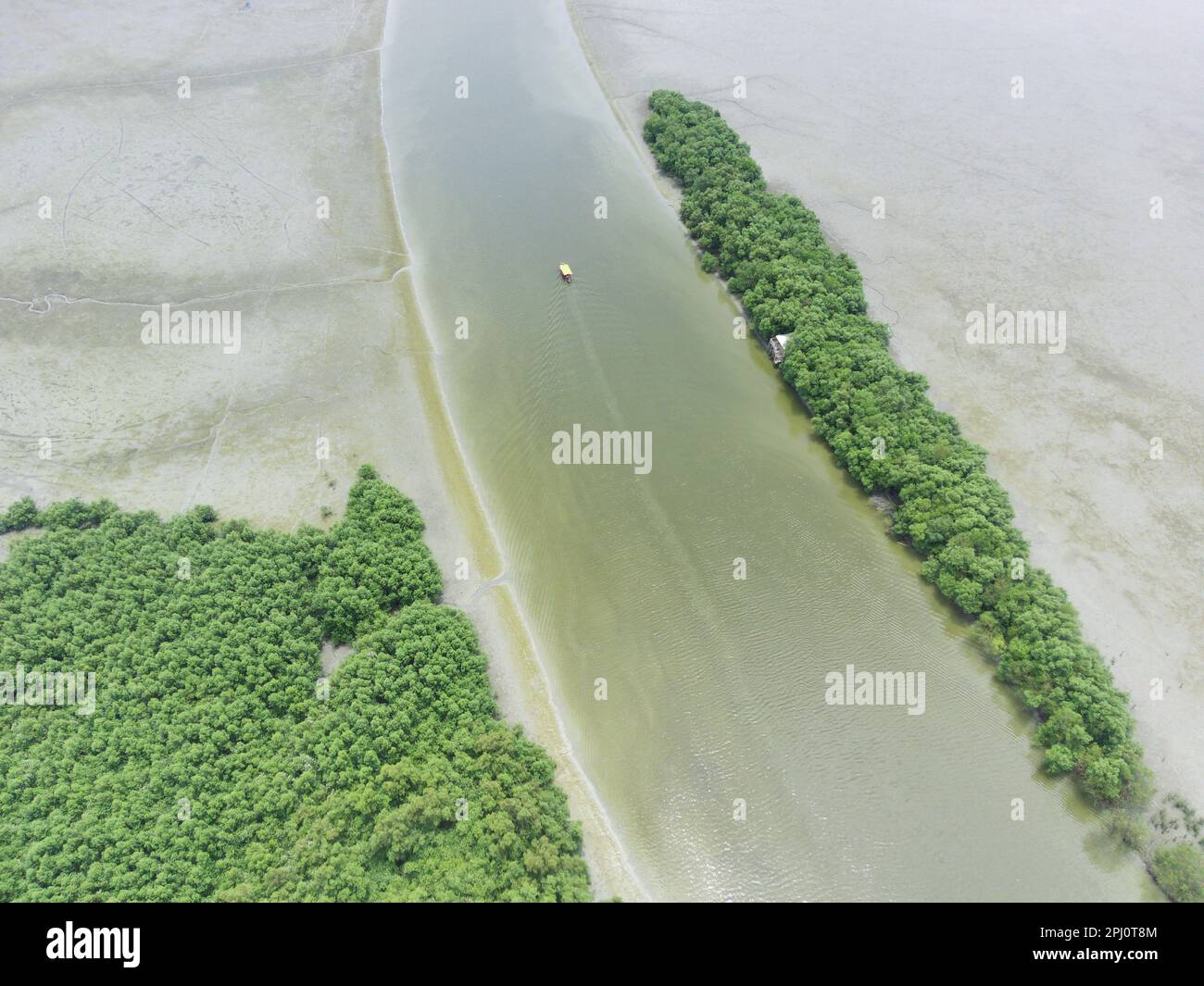 Aerial shot on The mangrove beach in Romokalisari, Surabaya, East Java ...