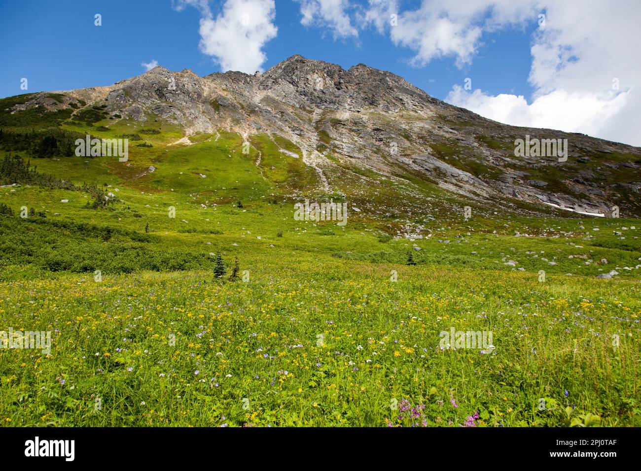 The midsummer view of Upper Dewey Lake surrounding landscape 900 meters ...