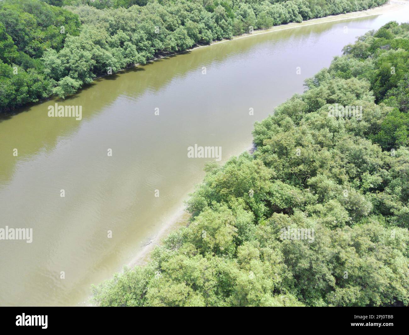 Aerial shot on The mangrove beach in Romokalisari, Surabaya, East Java ...