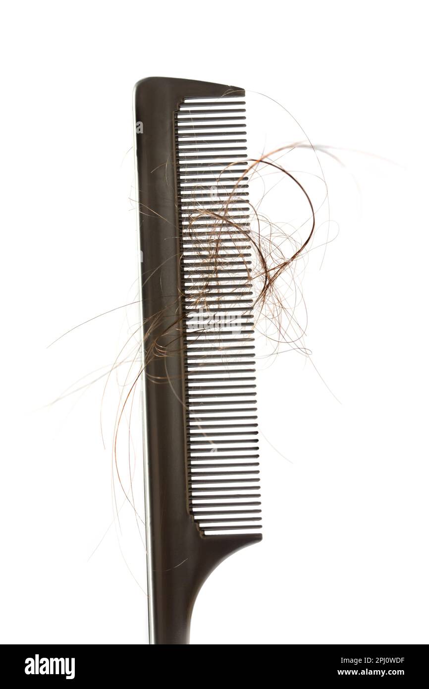 Strands of fallen hair wound on a thin comb, isolated on a white ...