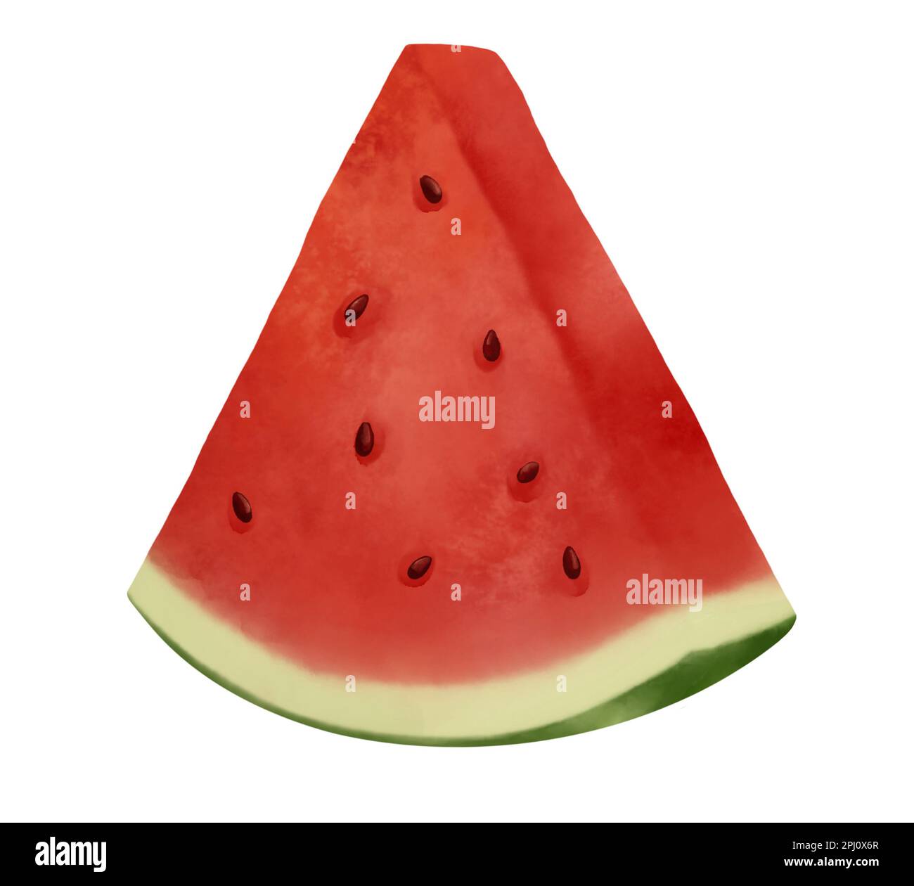 slice of watermelon watercolor painting isolated on white background ...