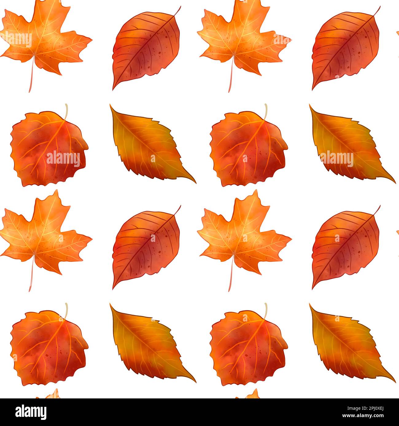 autumn leaves seamless pattern watercolor painting isolated on white ...