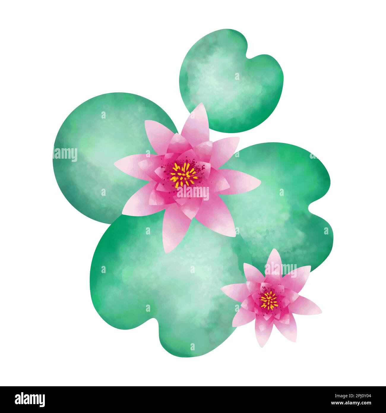 Asian botanical garden Stock Vector Images - Alamy